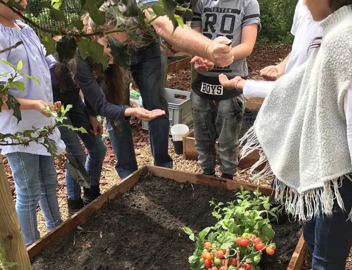 Informatie - IKC Valeo